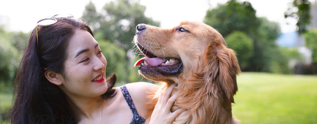 About BIVIGAM [Immune Globulin Intravenous (Human), 10% Liquid]